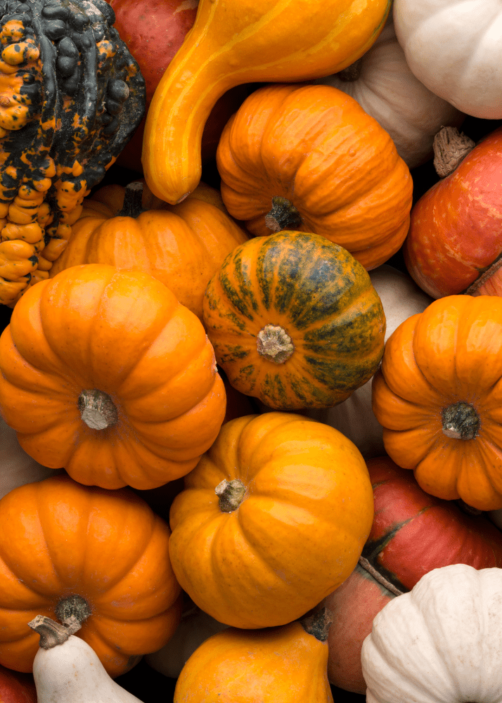 Superpower Your Health with Pumpkin This Fall - The Good Fat Bar